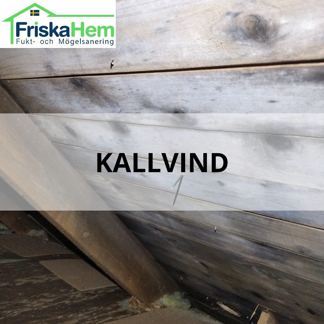 Så många olika kallvindar som vi stöter på! - Göteborg — Friska Hem ...